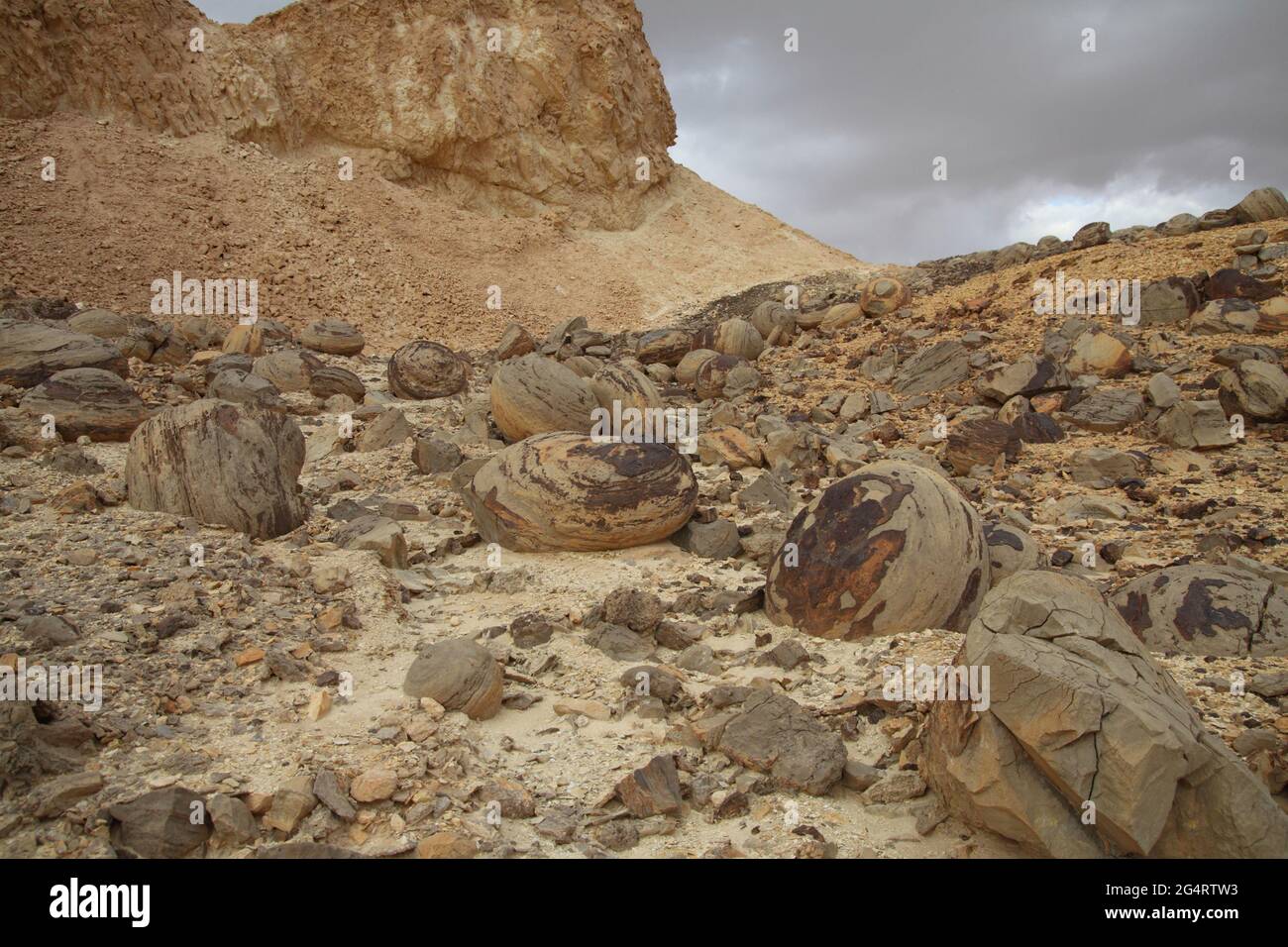 Limestone nodule Banque de photographies et d’images à haute résolution ...