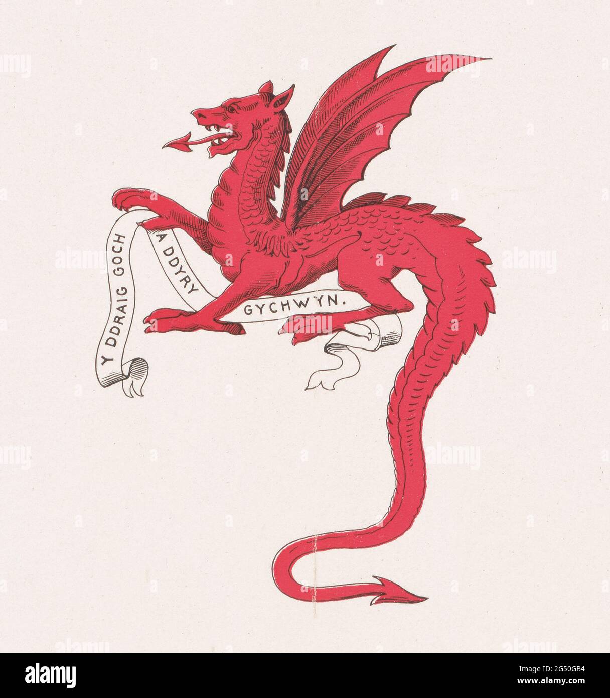 Gravure de dragon gallois Banque de photographies et d’images à haute ...