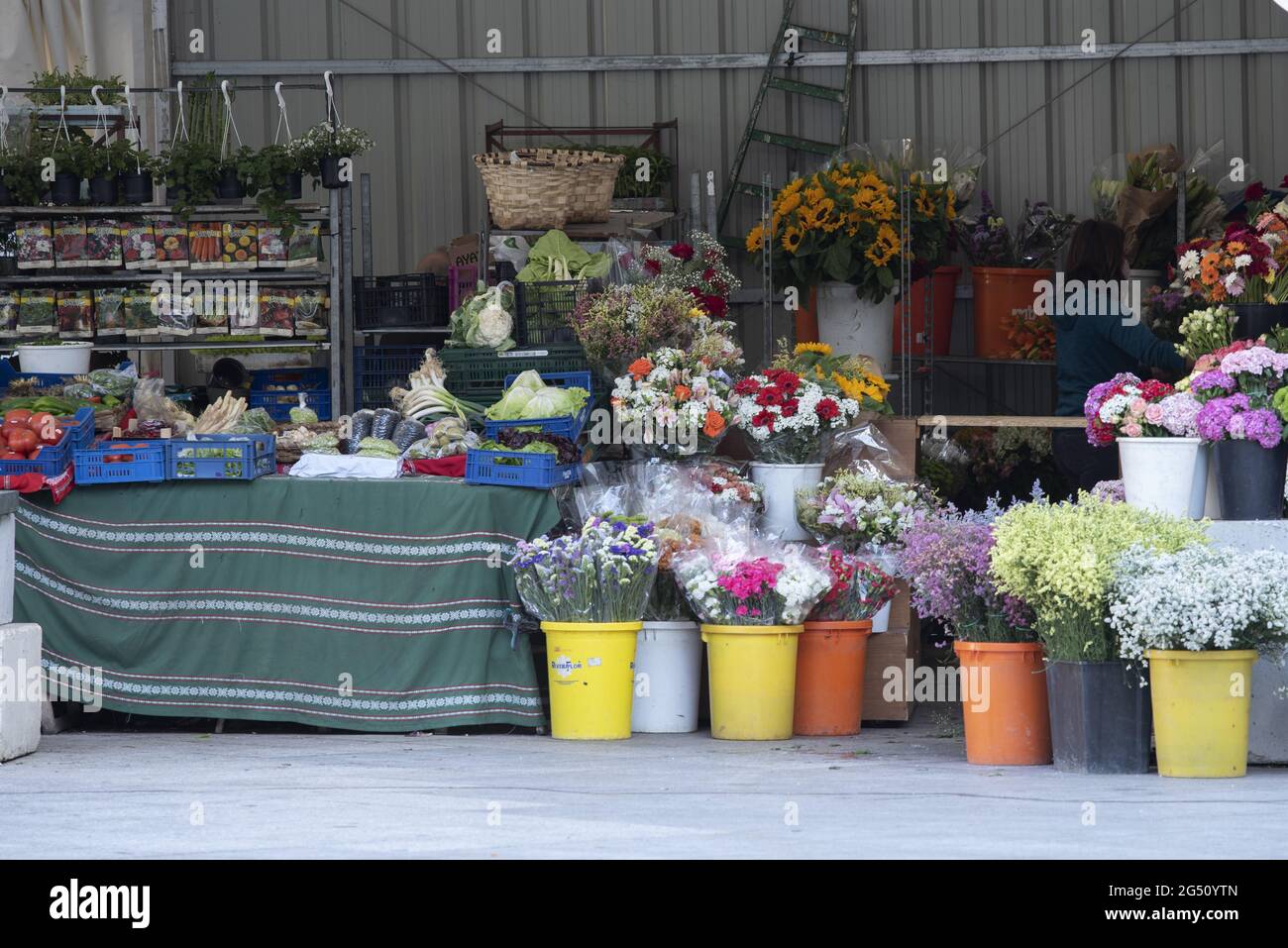 Les types de fleurs Banque de photographies et d’images à haute ...