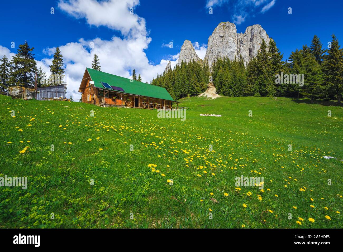 Superbe paysage d'été avec des champs fleuris sur la verrière de la ...