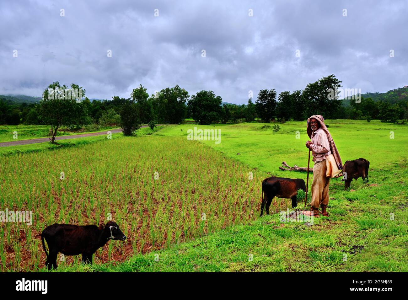 Mousson 2020 pune Banque de photographies et d’images à haute ...