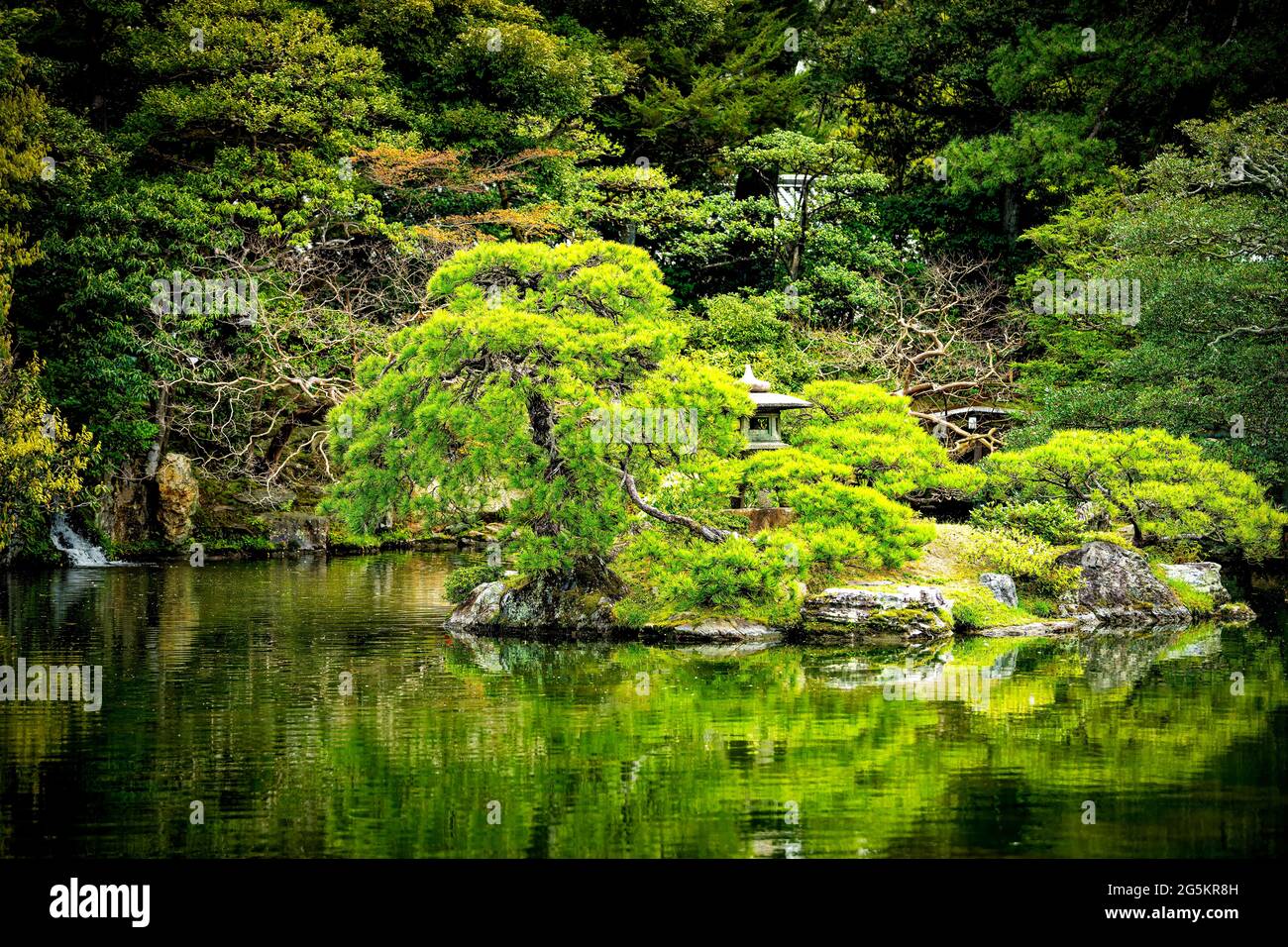 Kyoto, Japon végétation luxuriante jardin de printemps dans l ...