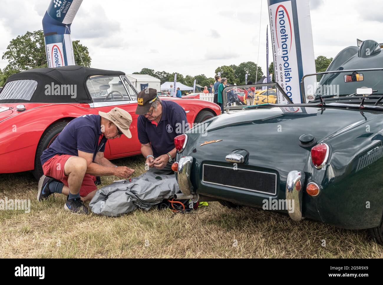 Frog eye sprite Banque de photographies et d’images à haute résolution ...