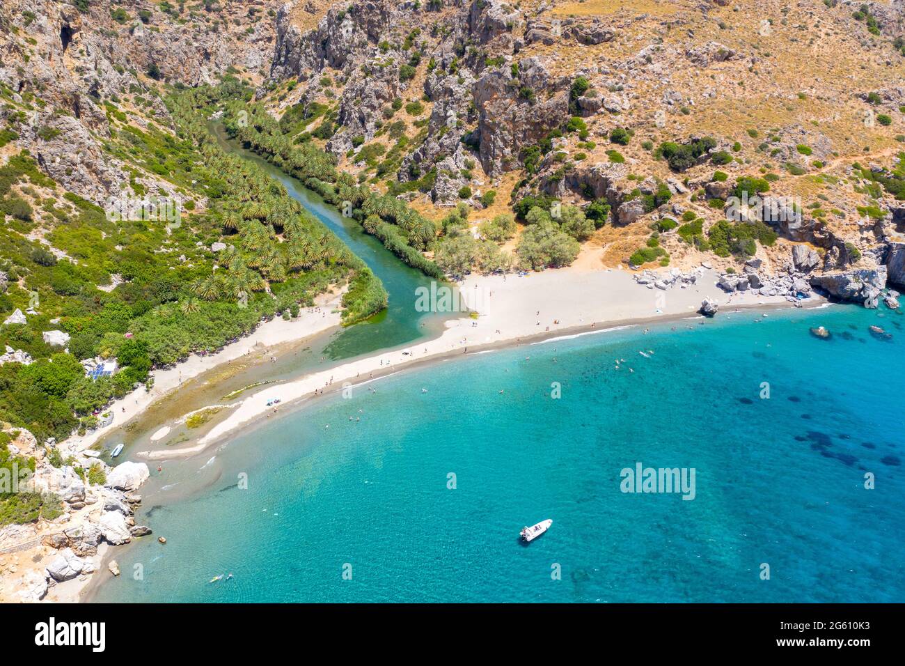 La plage des Palmiers à la mer de Libye, rivière et forêt de palmiers ...