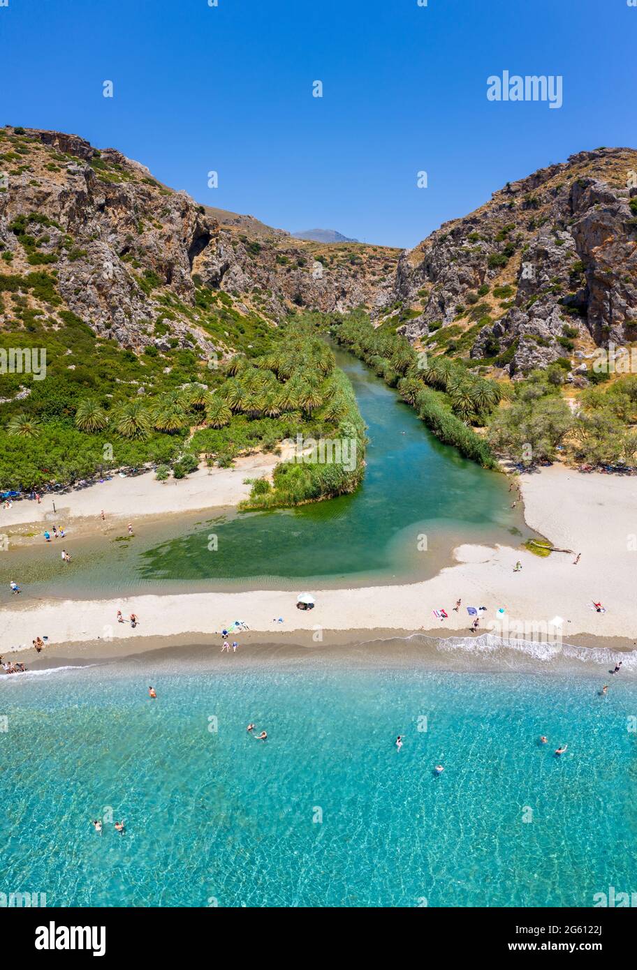 Plage des palmiers du sud Banque de photographies et d’images à haute ...