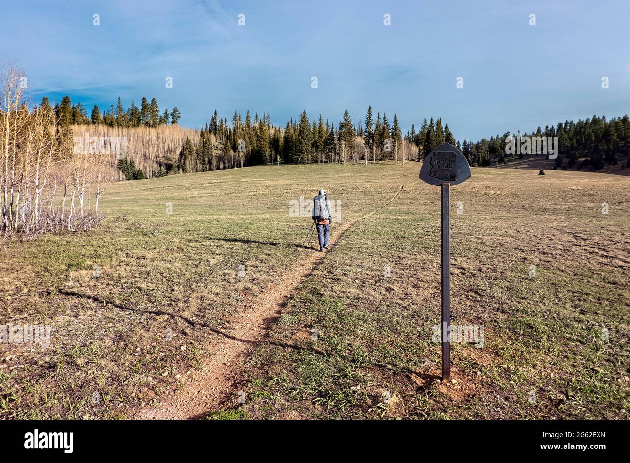 Forêt nationale de kaibab Banque de photographies et d’images à haute résolution - Alamy