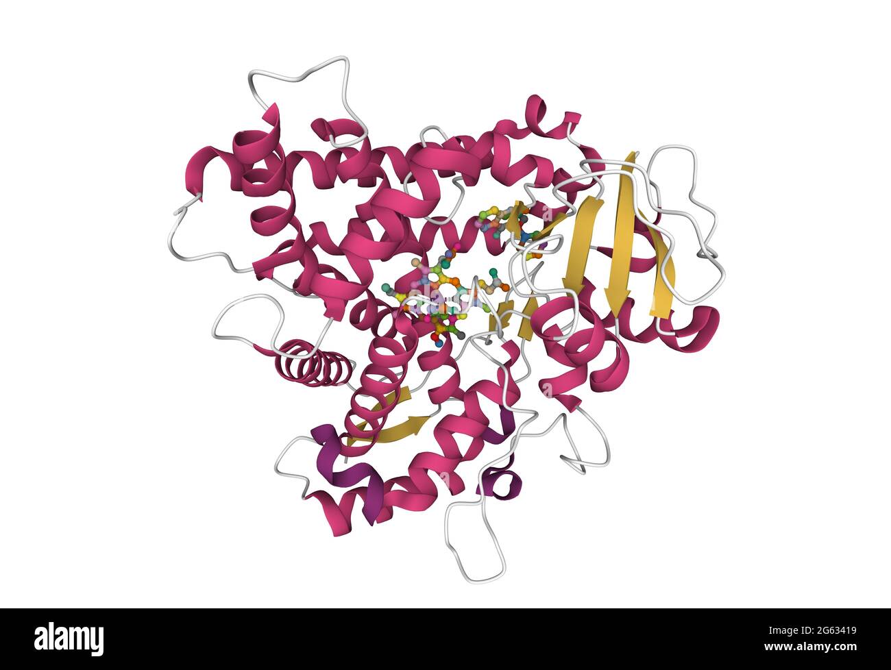 Structure du cytochrome P450 CYP2C9 humain avec liaison hème et ...