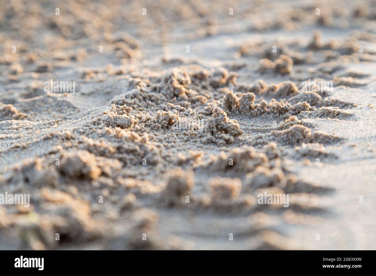Traces de pneus dans le sable Banque de photographies et d’images à haute résolution - Alamy