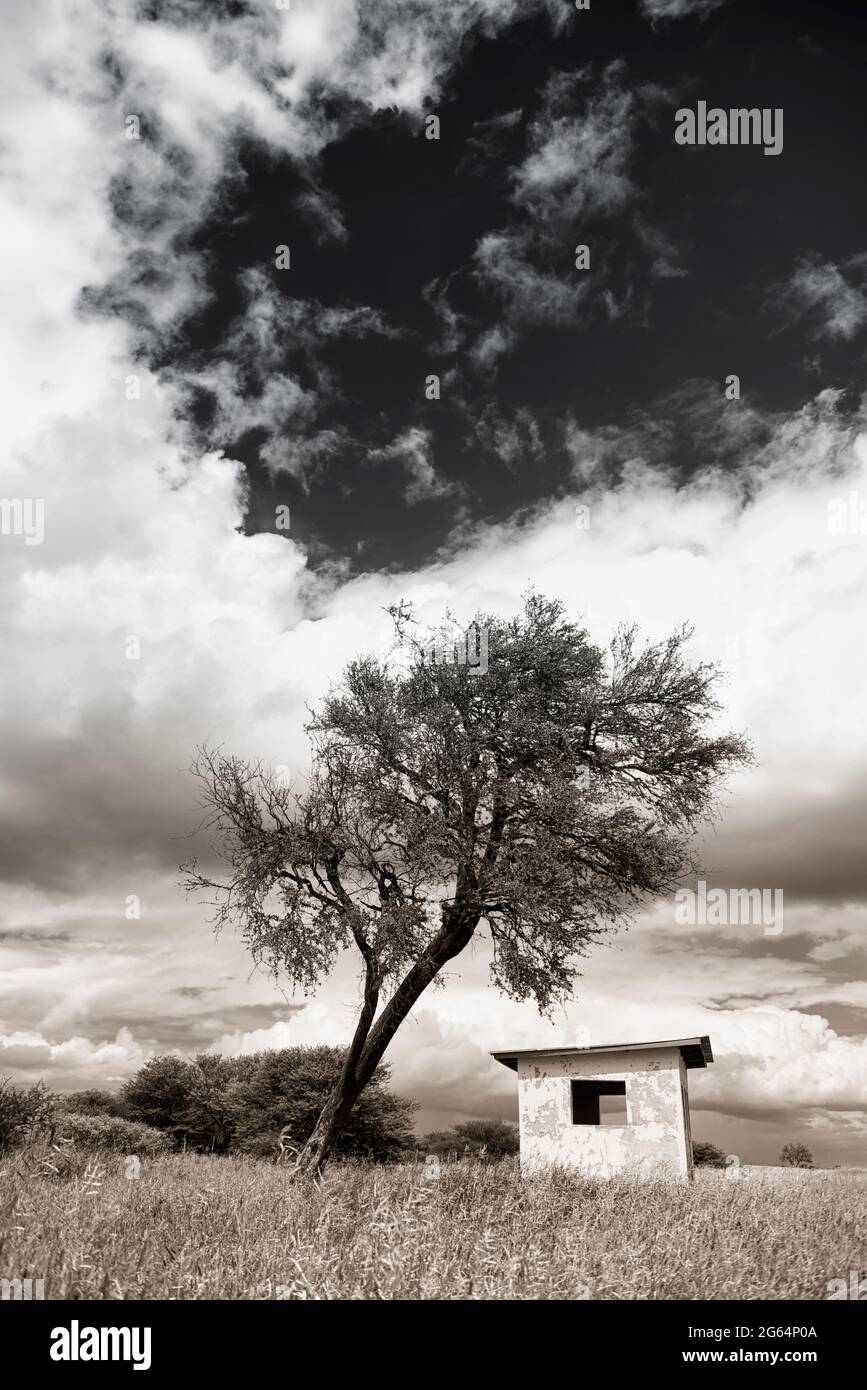 Jwaneng au botswana Banque de photographies et d’images à haute ...