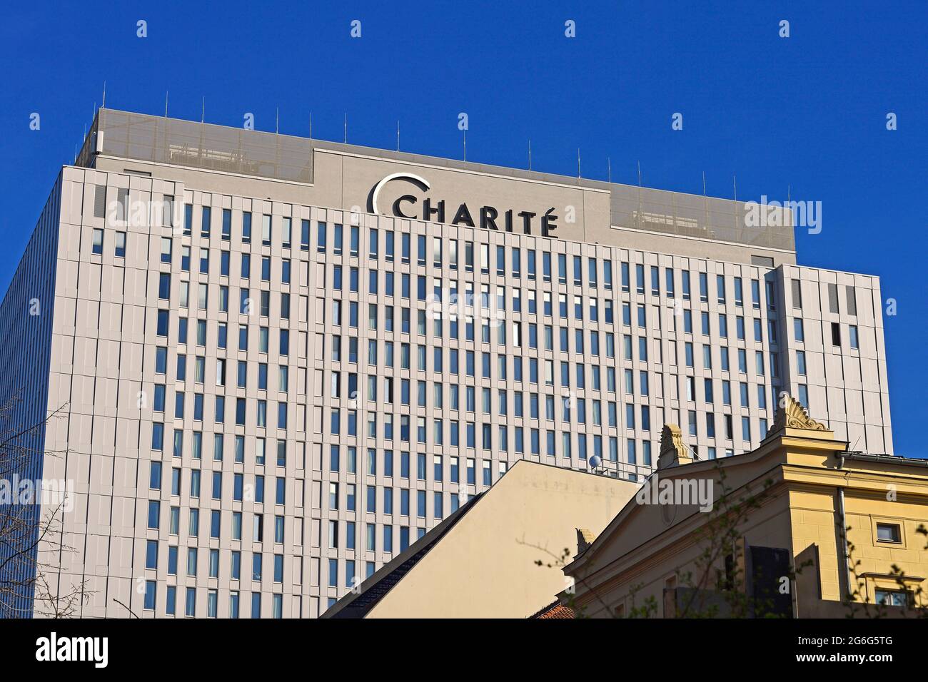 Hopital De La Charite De Berlin