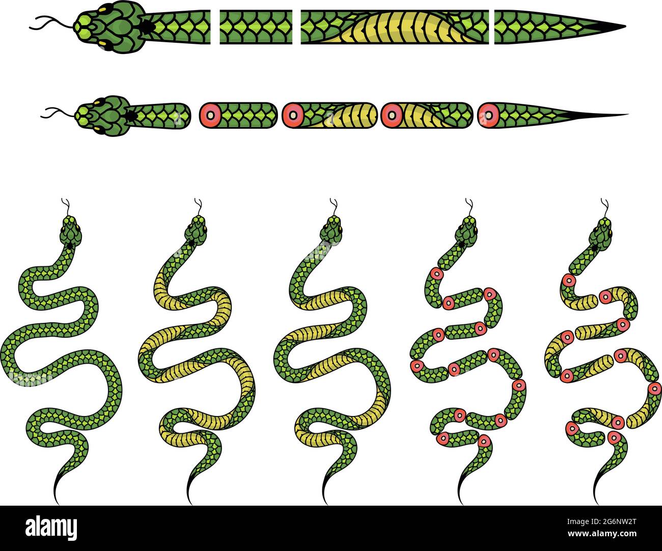 Ensemble d'éléments pour créer un dessin avec un serpent, serpents dans ...