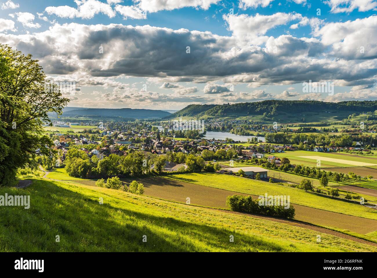Embouchure du rhin et du lac de constance Banque de photographies et d ...