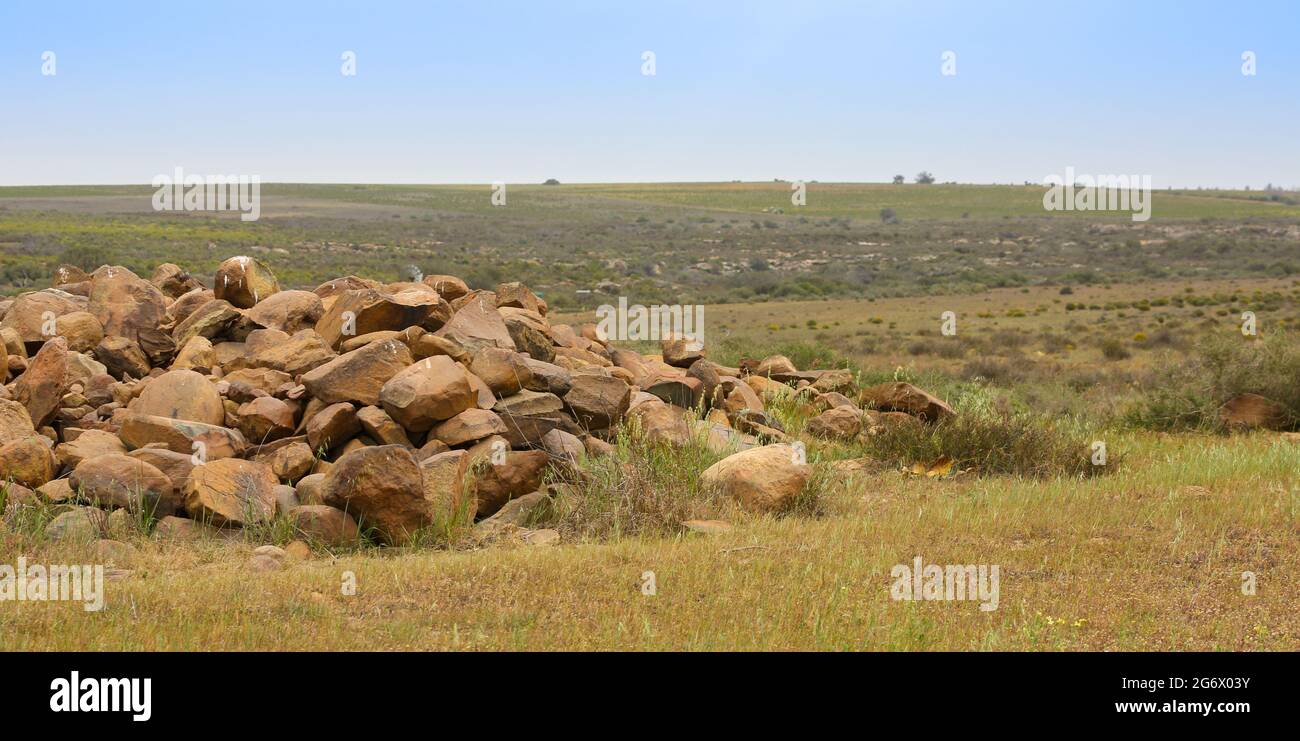 Cielo del hemisferio norte Banque de photographies et d’images à haute ...