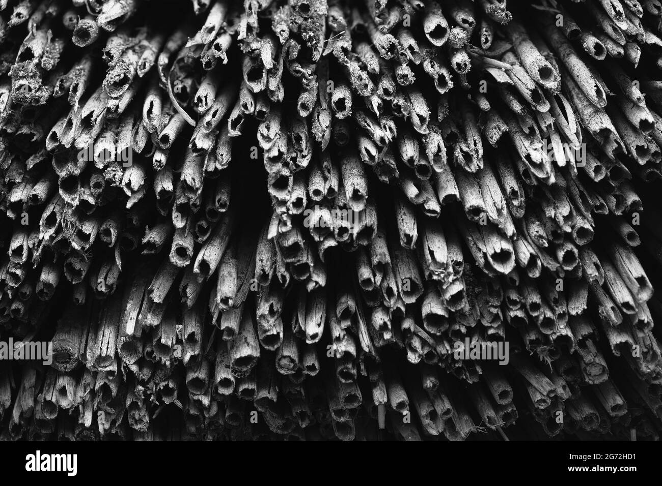 Texture de chaume Banque de photographies et d’images à haute ...