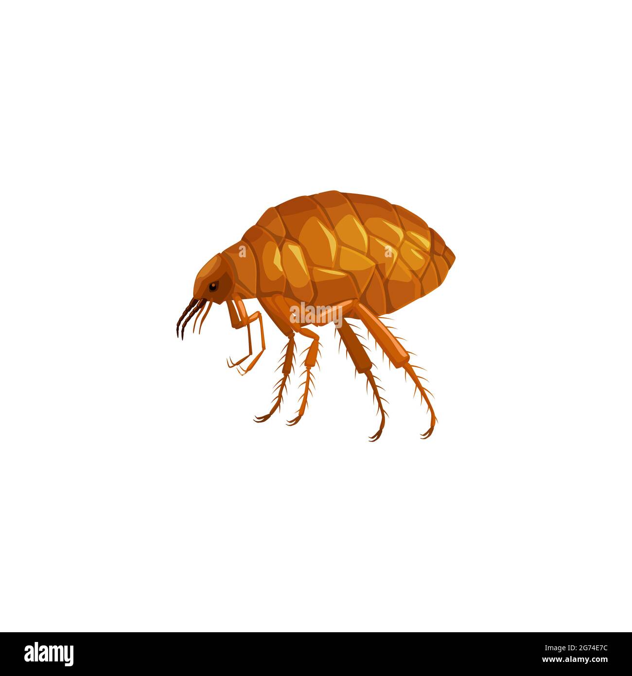 Icône de puce, service de lutte contre les insectes parasites et ...