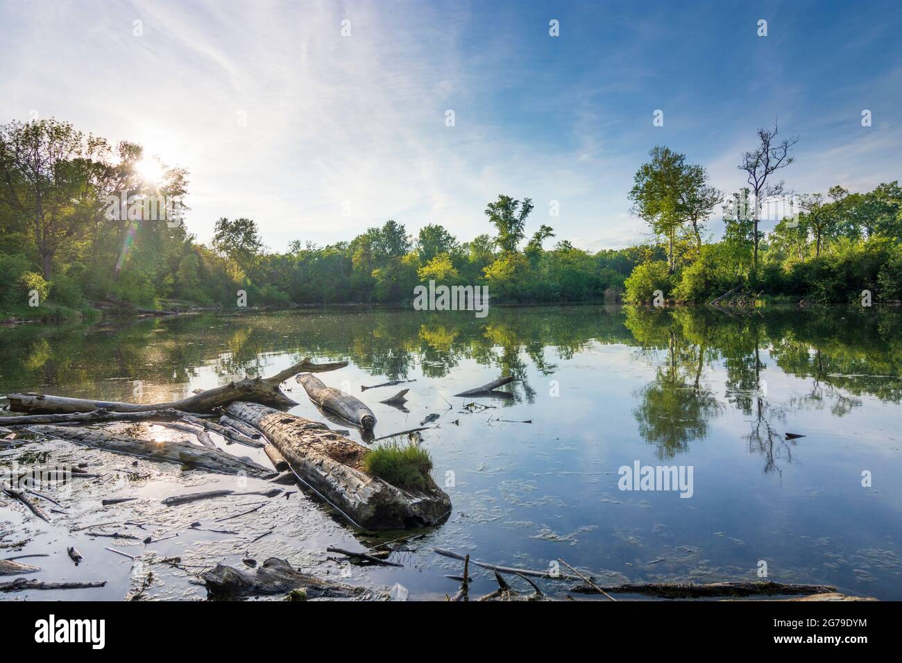 Plaine inondable du danube Banque de photographies et d’images à haute ...