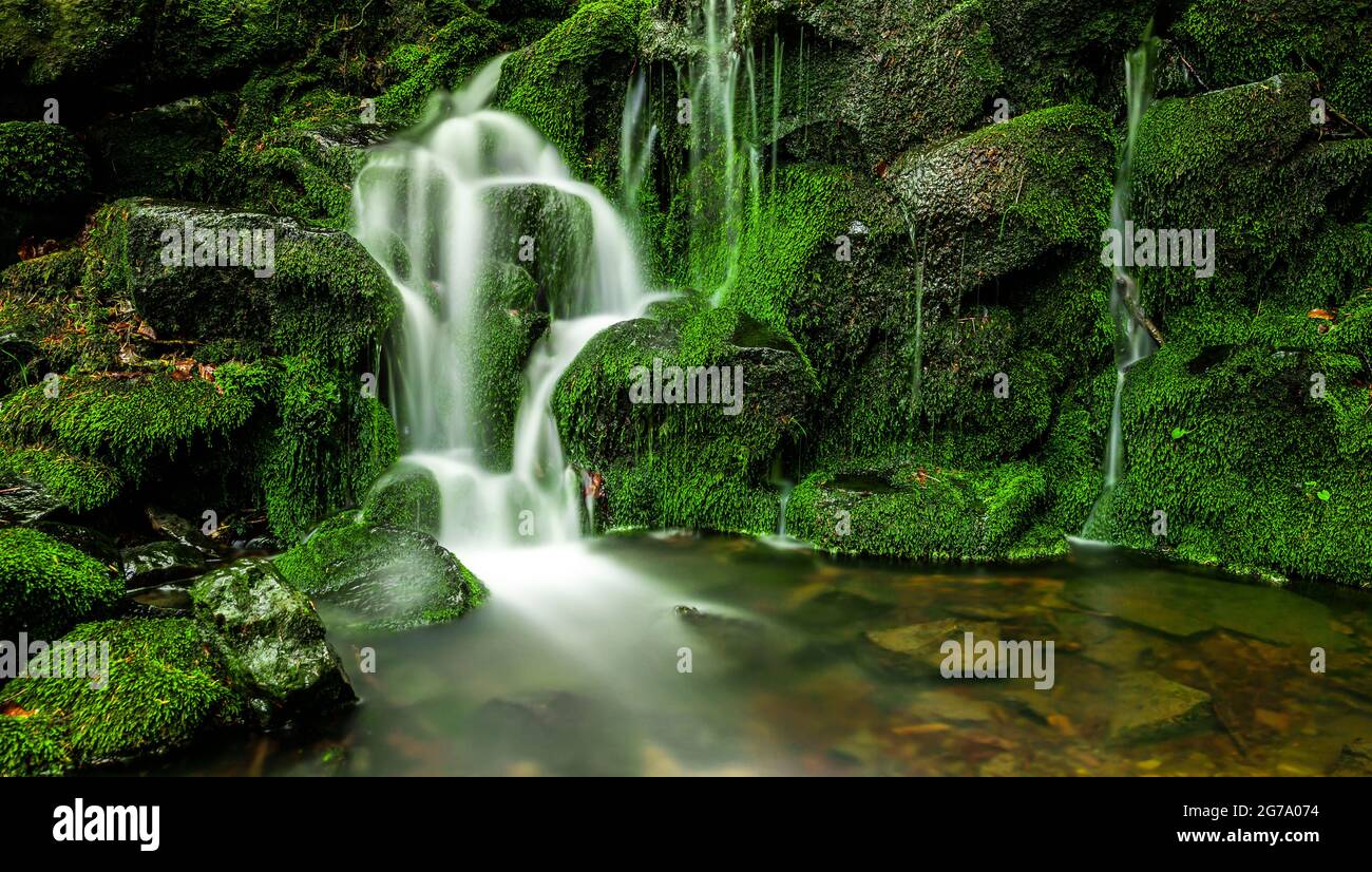Vert cascade Banque de photographies et d’images à haute résolution - Alamy