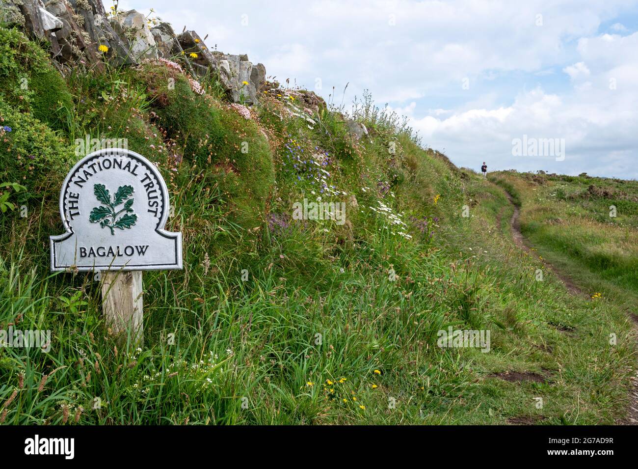 Le South West Coast Path entre Trebarwith Strand et Tintagel. Un ...