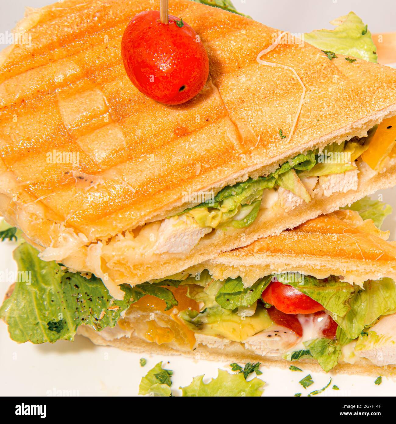 Chicken panini Banque de photographies et d’images à haute résolution ...
