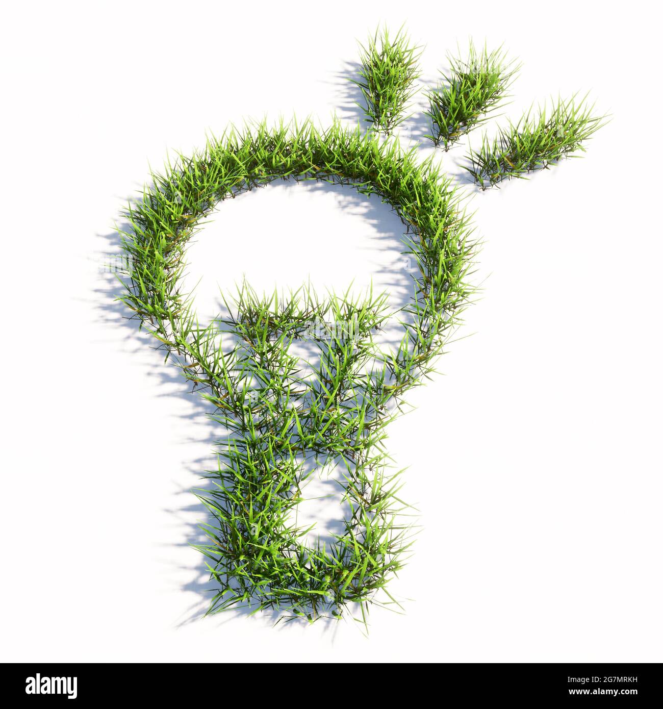 Concept ou concept vert pelouse été symbole herbe isolé sur fond blanc ...