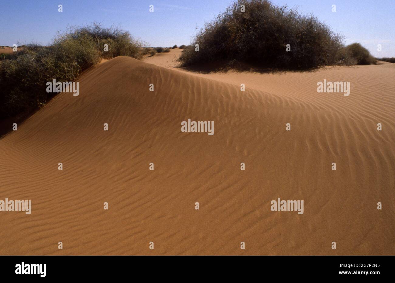 Simpson desert australia Banque de photographies et d’images à haute ...