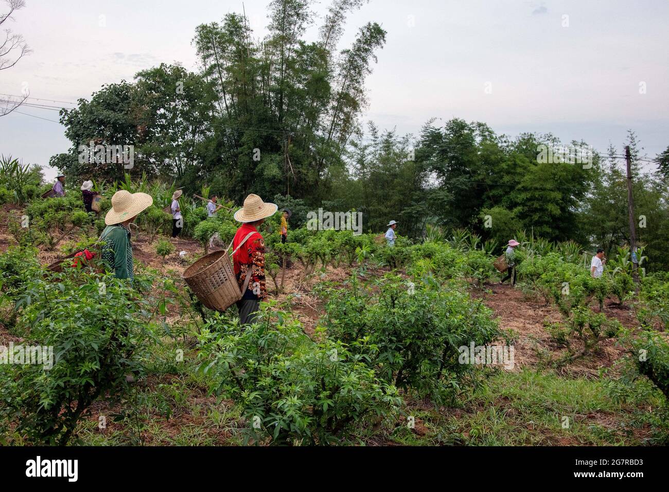 Belles zones rurales Banque de photographies et d’images à haute ...
