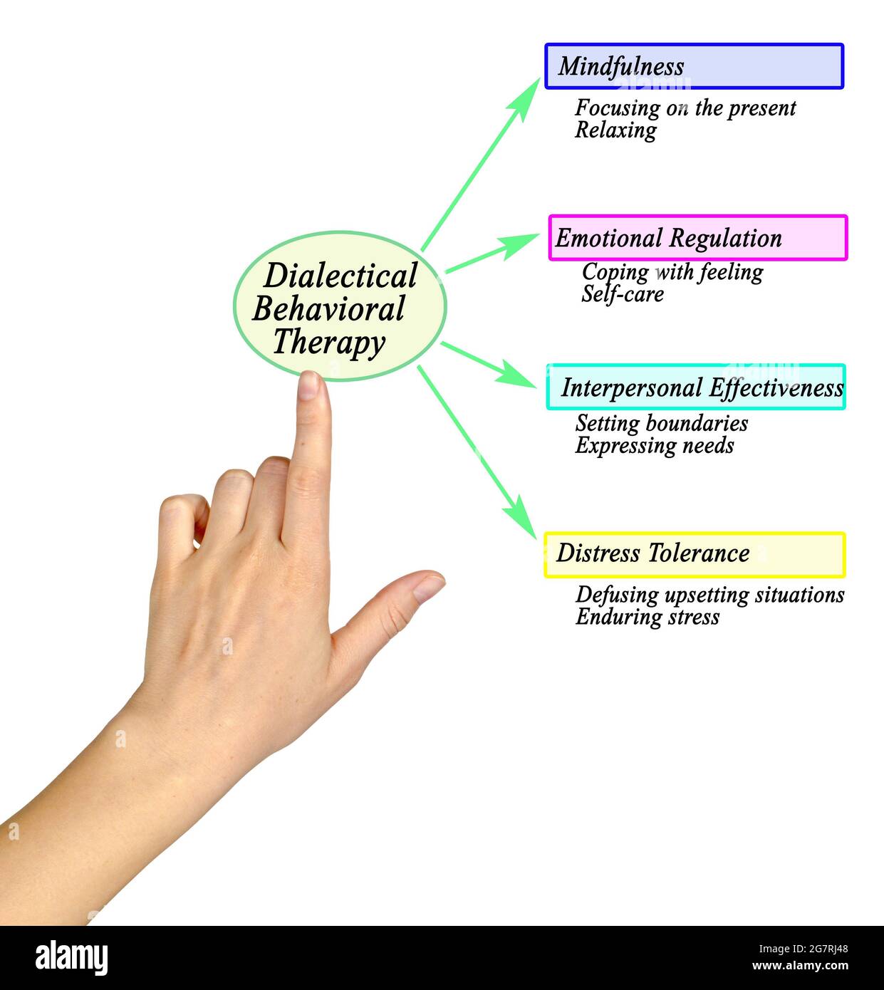 Composants de la thérapie comportementale dialectique Photo Stock - Alamy