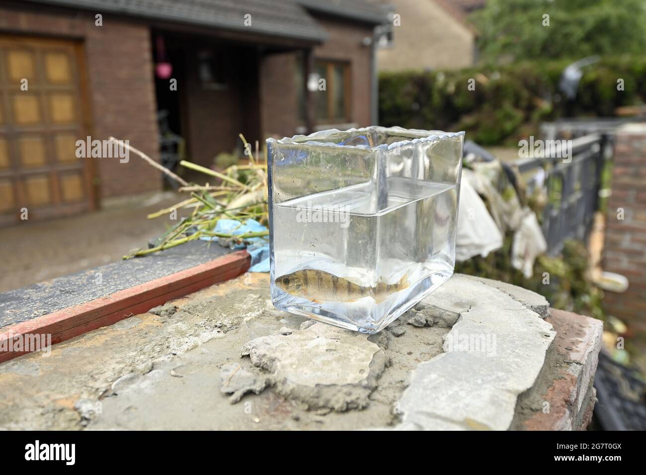 L'illustration montre un poisson dans un aquarium à l'extérieur pendant ...