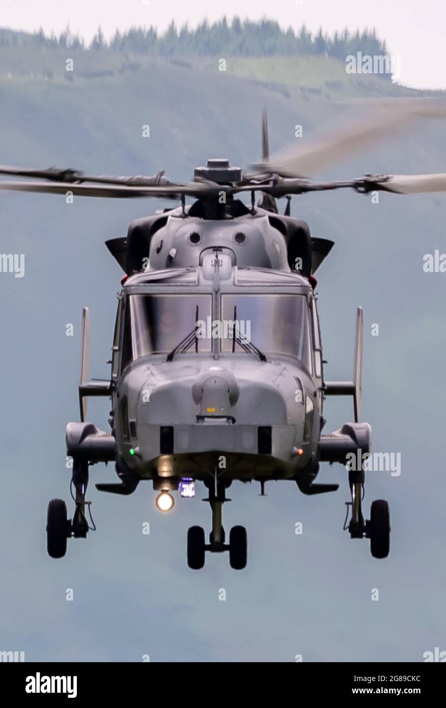 Wildcat helicopter Banque de photographies et d’images à haute ...