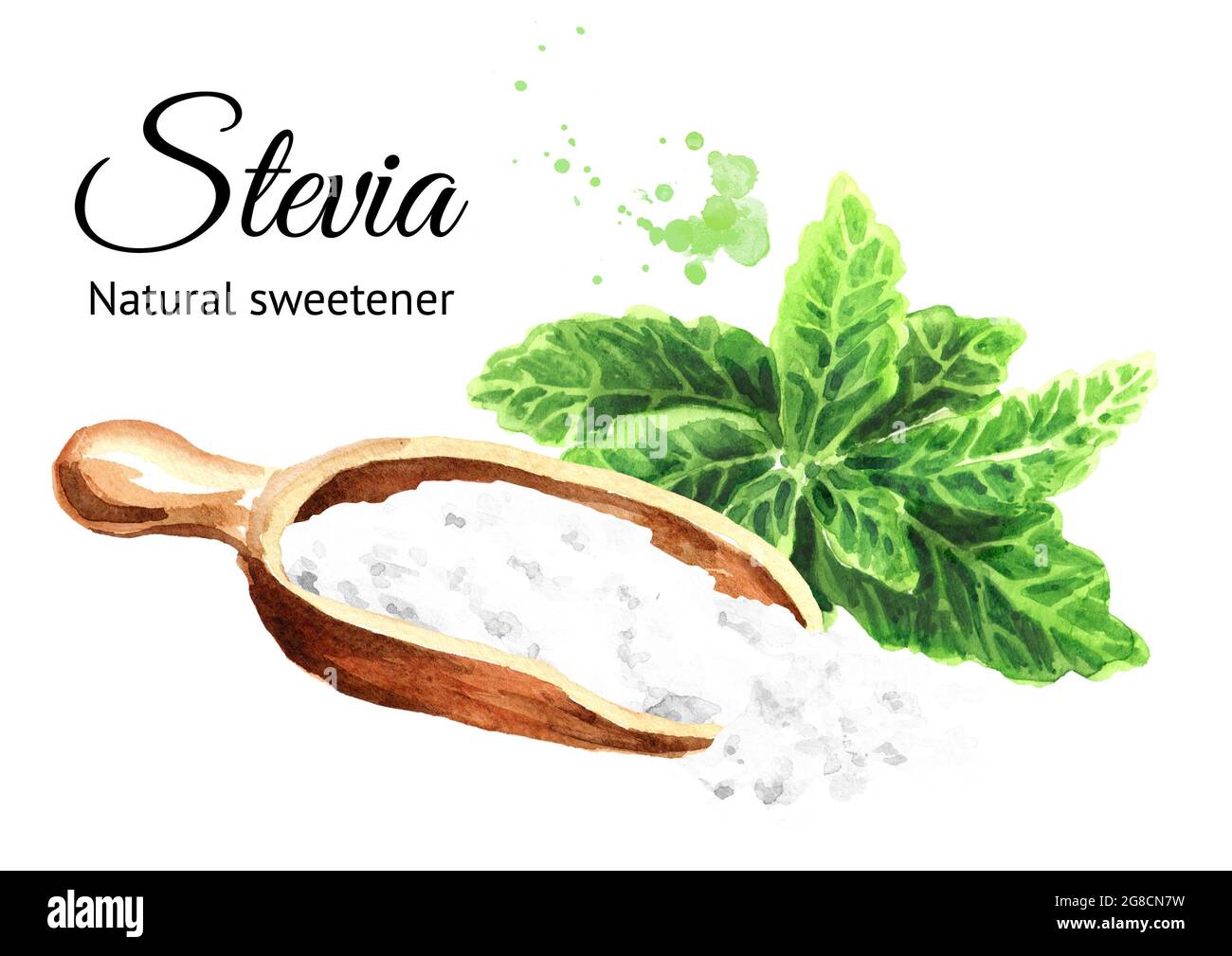 Insulin plant Banque de photographies et d’images à haute résolution ...