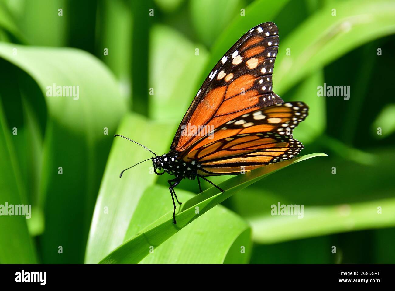 Lat 32 64591400 Banque de photographies et d’images à haute résolution ...