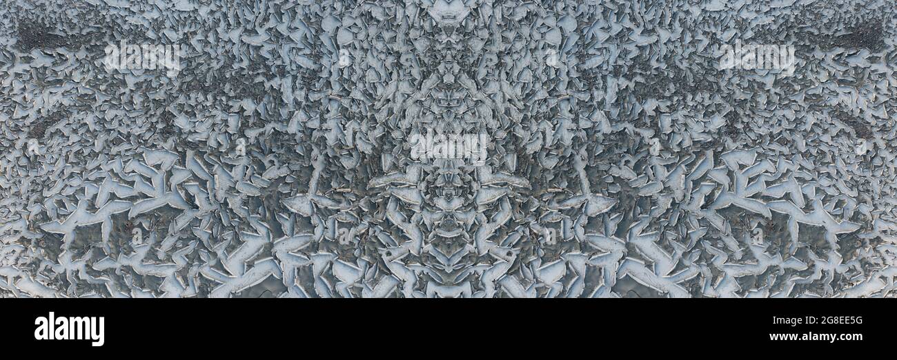 Fissures et bois séché à la surface d'un lac séché dans un climat sec ...