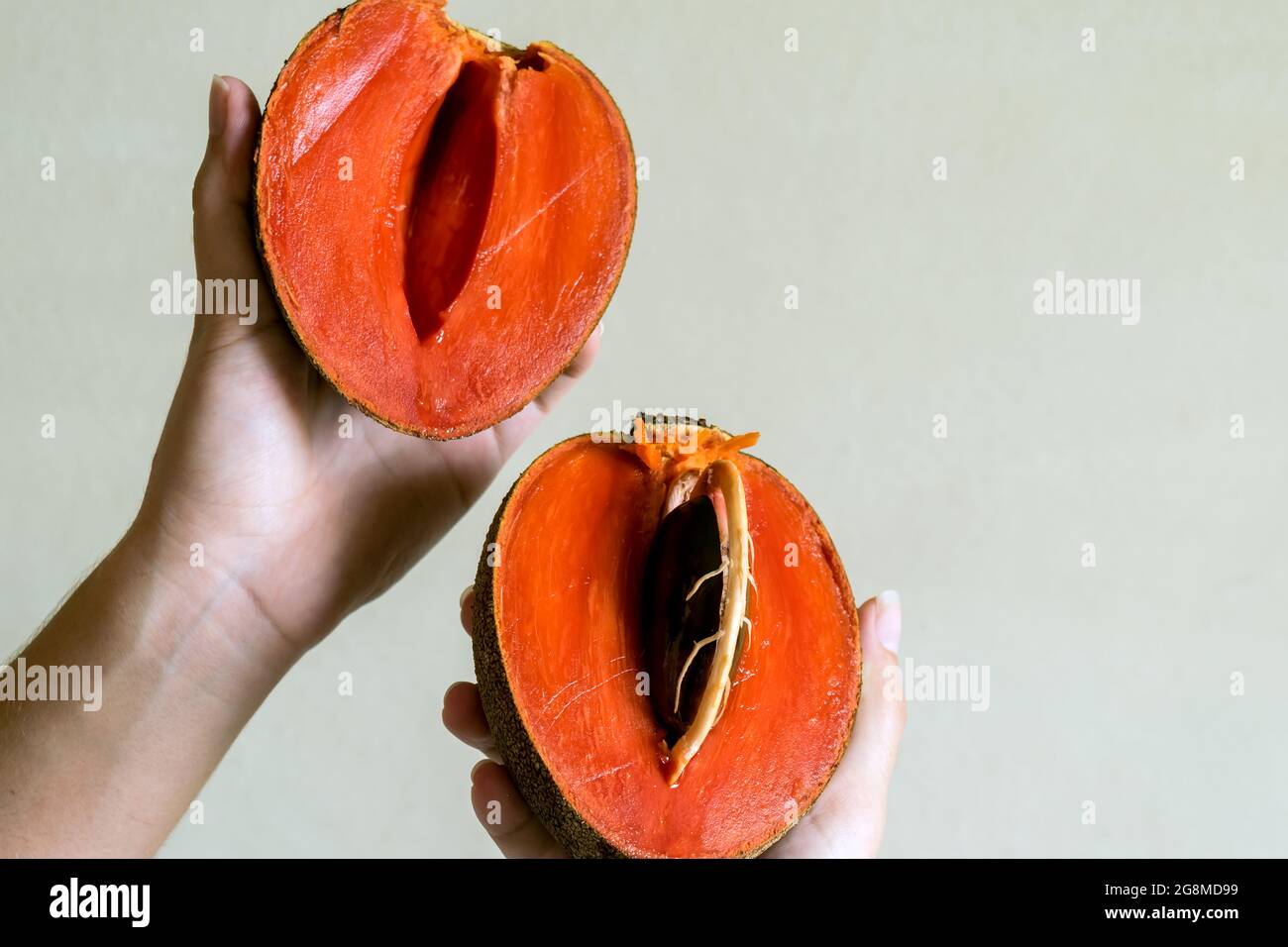Sapota fruit Banque de photographies et d’images à haute résolution - Alamy
