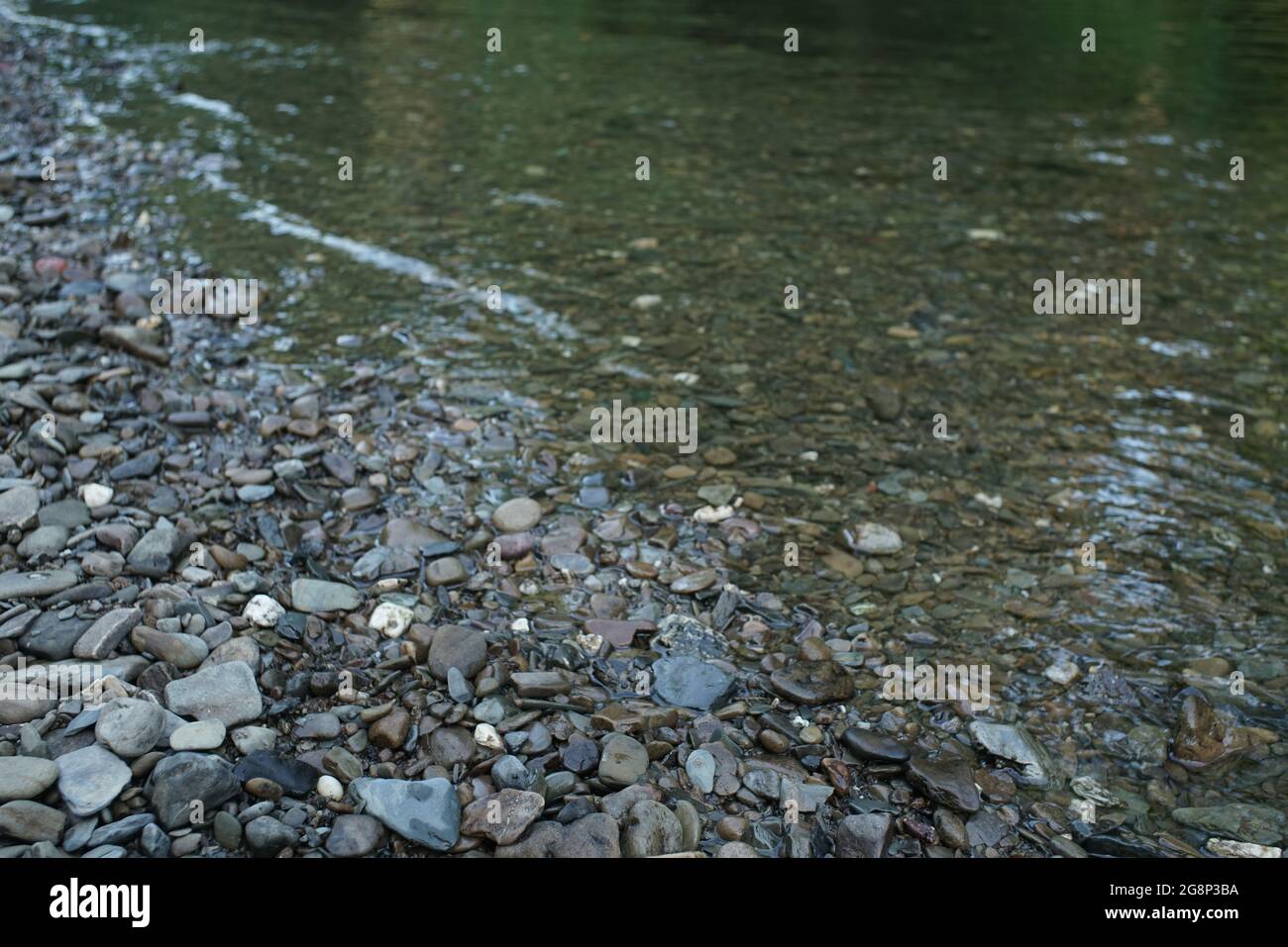 Ecosystem intact Banque de photographies et d’images à haute résolution ...