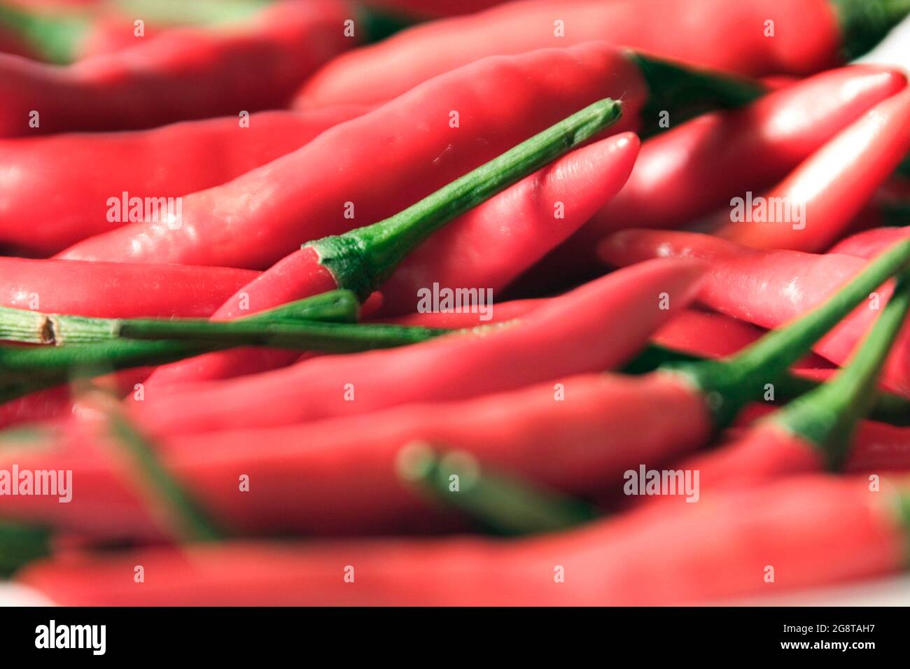 Gros piments rouges Banque de photographies et d’images à haute ...