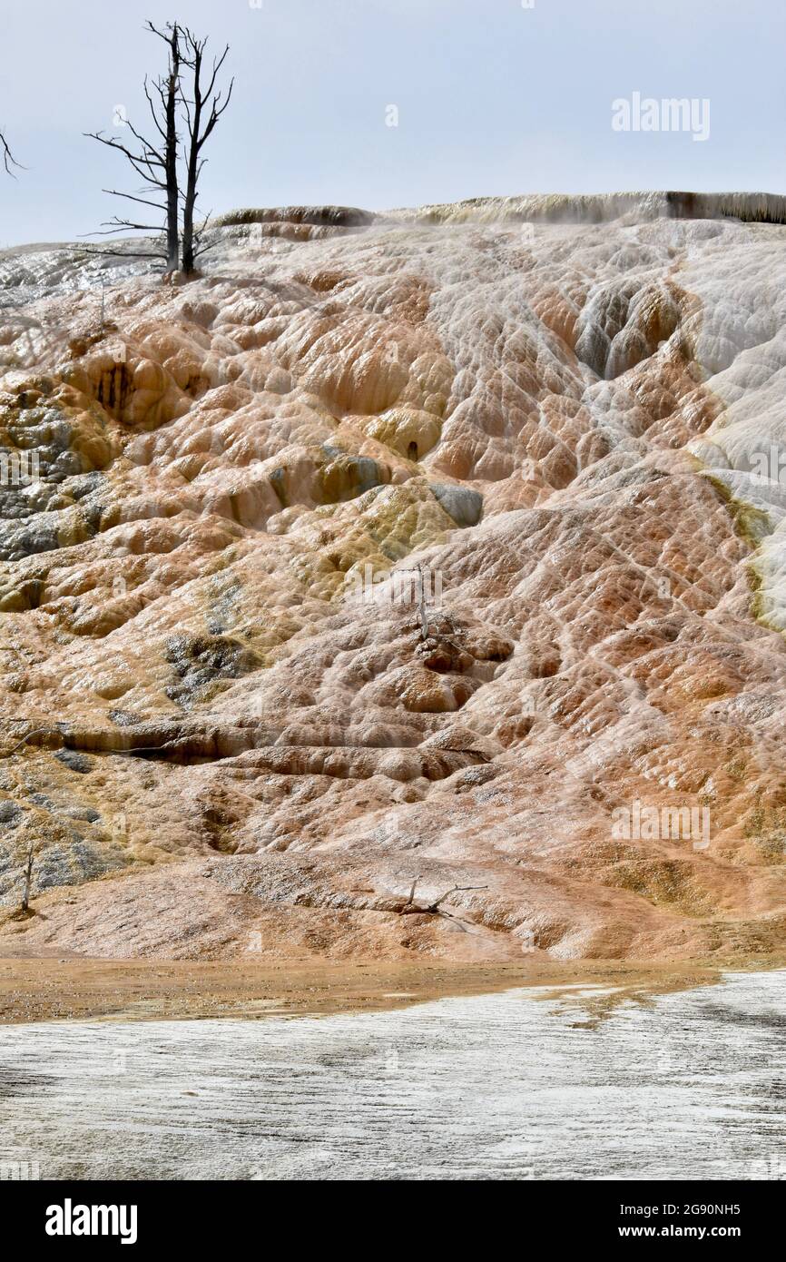 Le parc national de Yellowstone, le premier parc national au monde ...