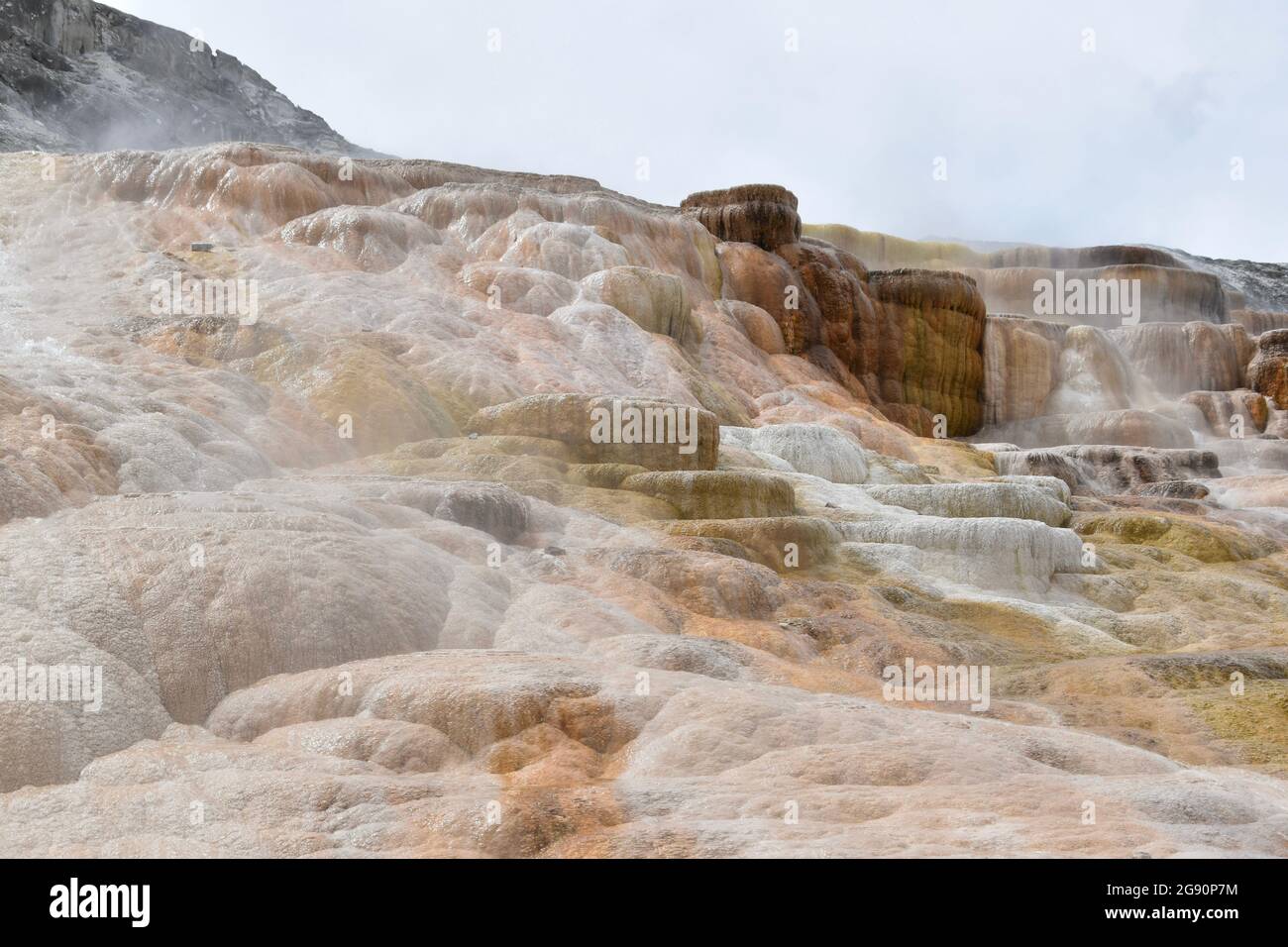 Le parc national de Yellowstone, le premier parc national au monde ...