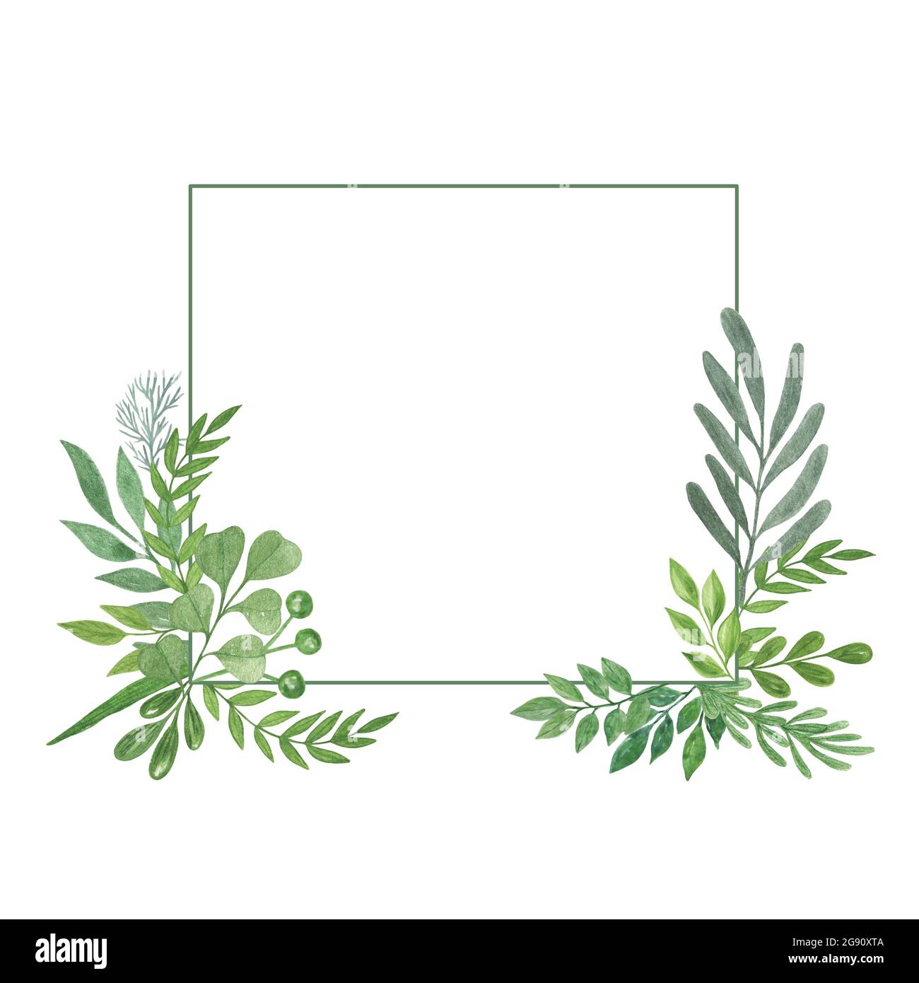 Vert feuilles cadre carré contour simple dessin main aquarelle ...