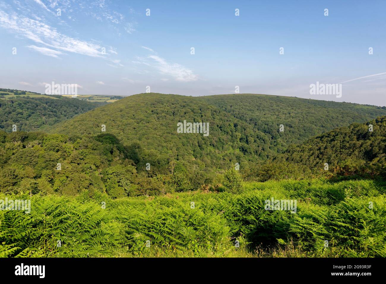 Ley hill Banque de photographies et d’images à haute résolution - Alamy