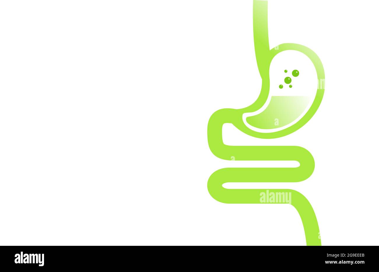 Tractus gastro-intestinal. Intestins, intestins, estomac. Icône tube ...