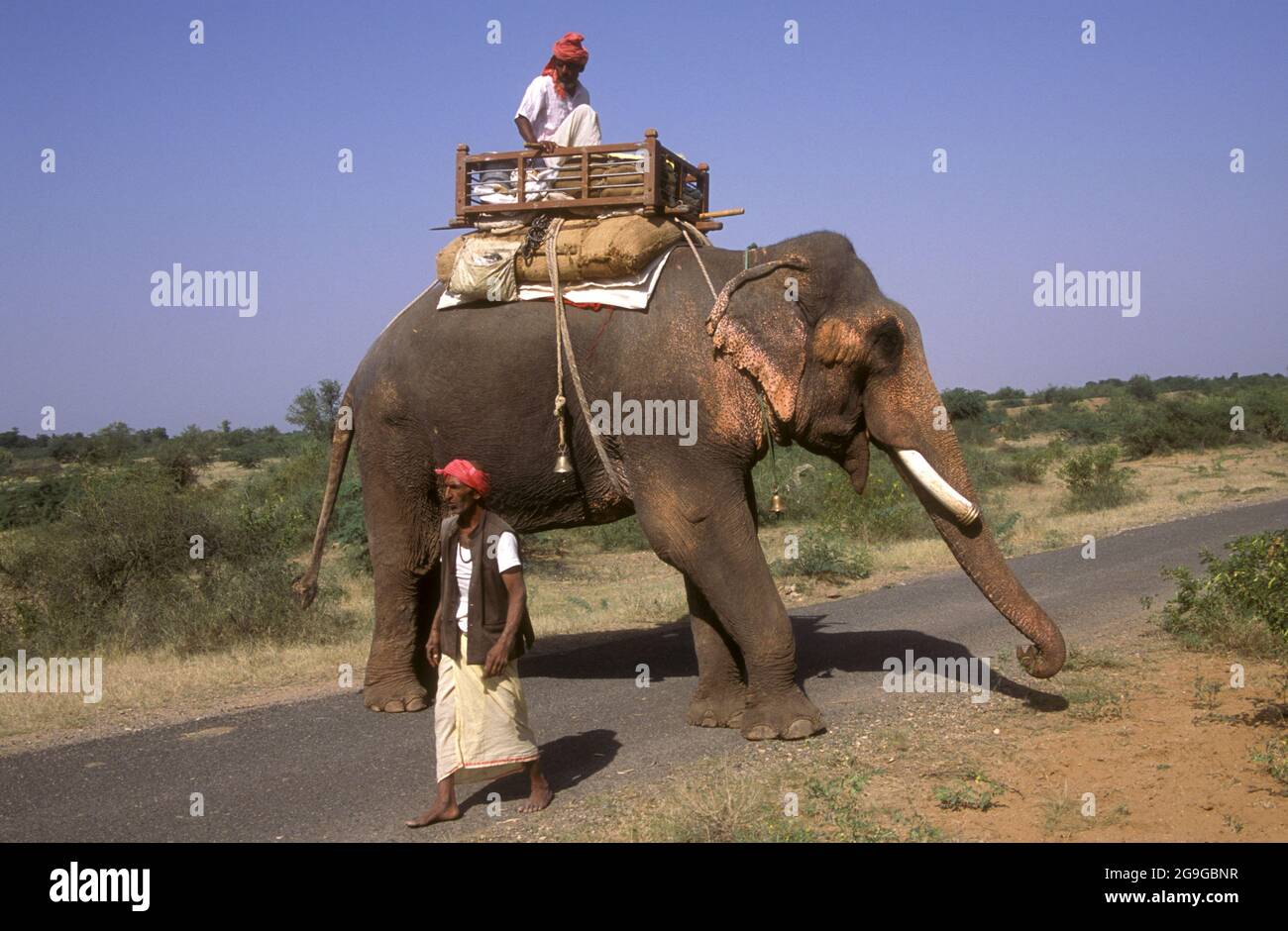 An elephant carrying cargo Banque de photographies et d’images à haute ...