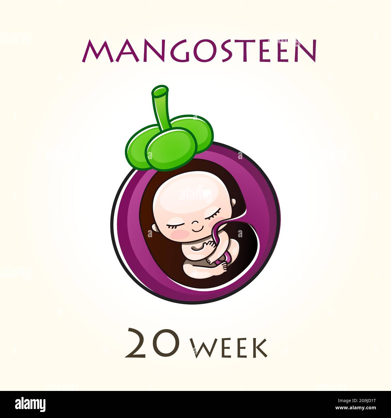 Få“tus humain 20 semaines Banque de photographies et d’images à haute ...