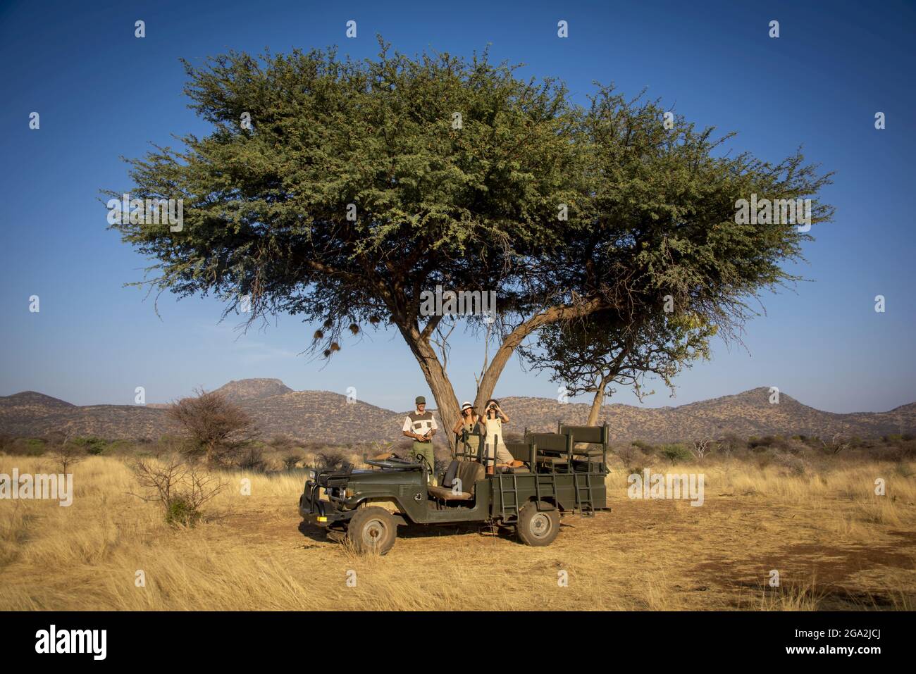 Guide et femmes voyageurs en safari et debout dans une jeep garée sous ...
