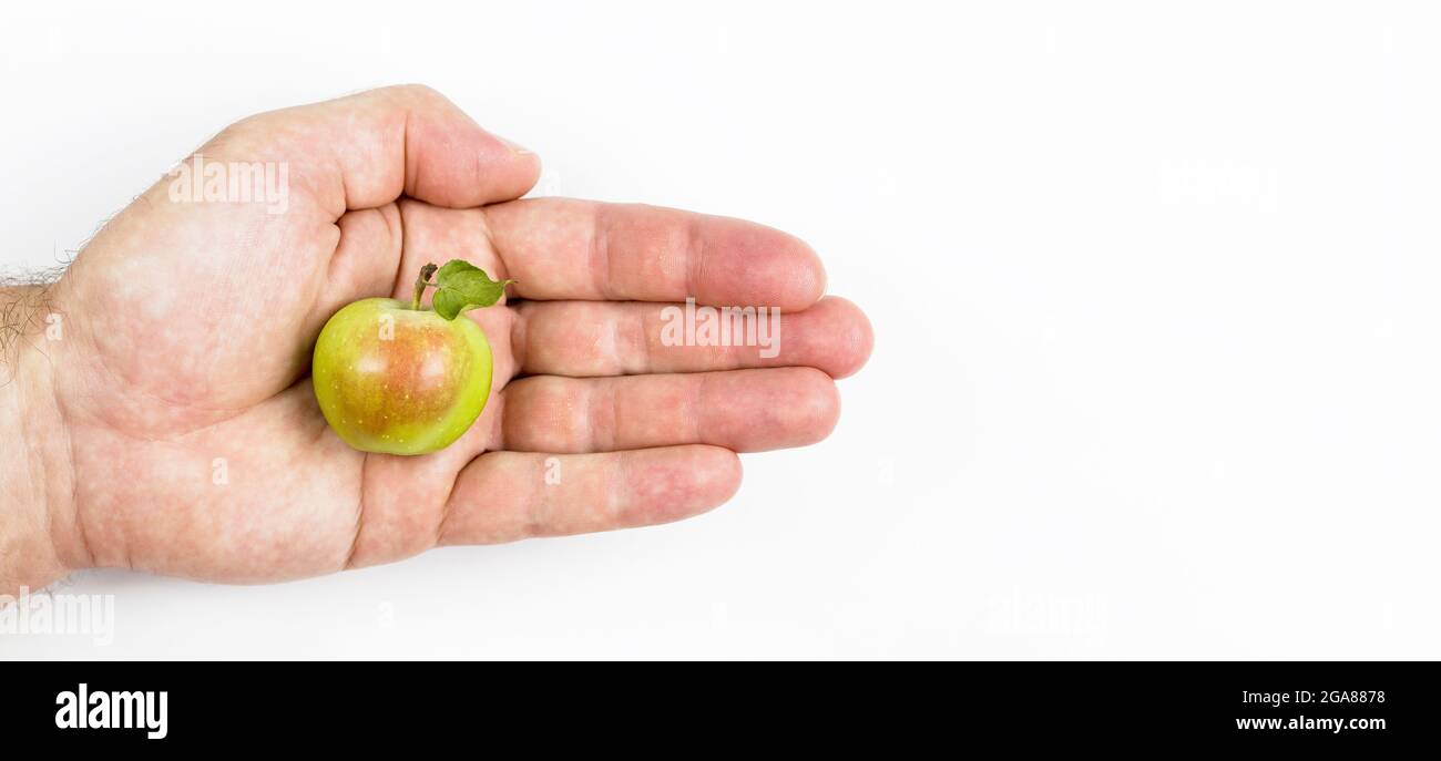 Pomme sauvage Banque de photographies et d’images à haute résolution ...