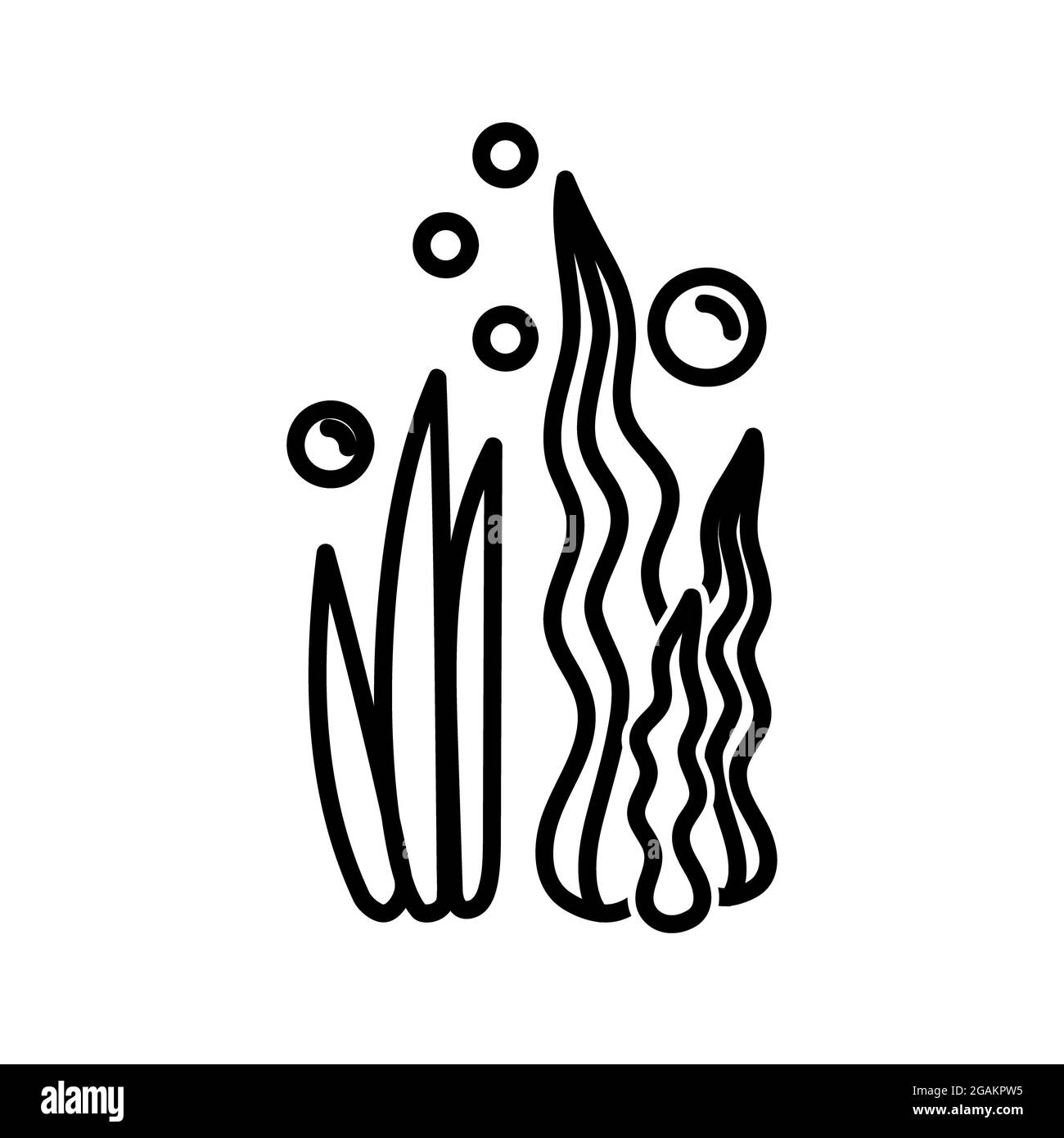 Icône d'algues. Pictogramme plat de fruits de mer pour le web. Trait ...