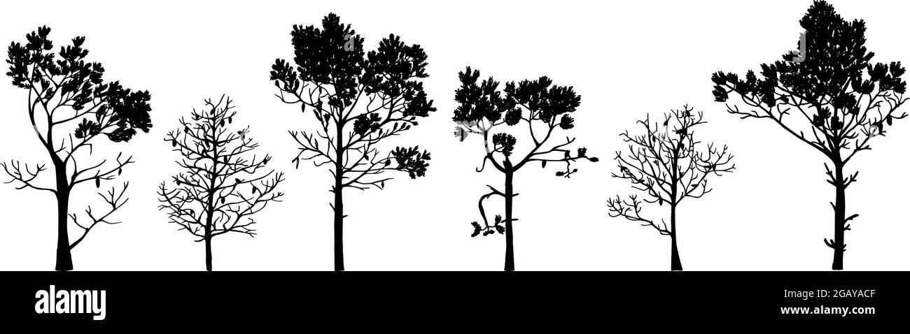 Ensemble de silhouettes d'arbres de différents types et formes isolées ...