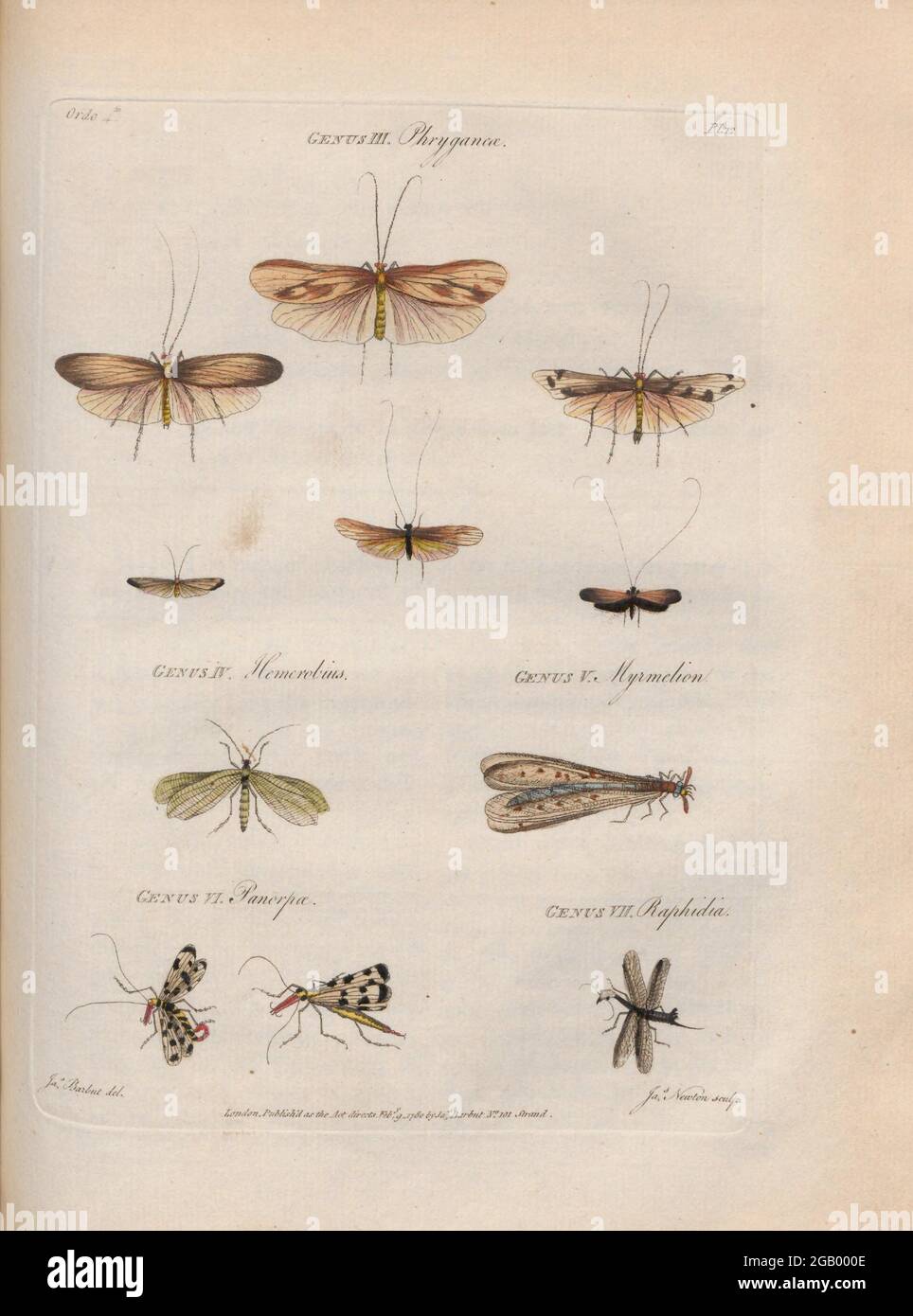 Ejemplos de animales vectoriales Banque de photographies et d’images à ...