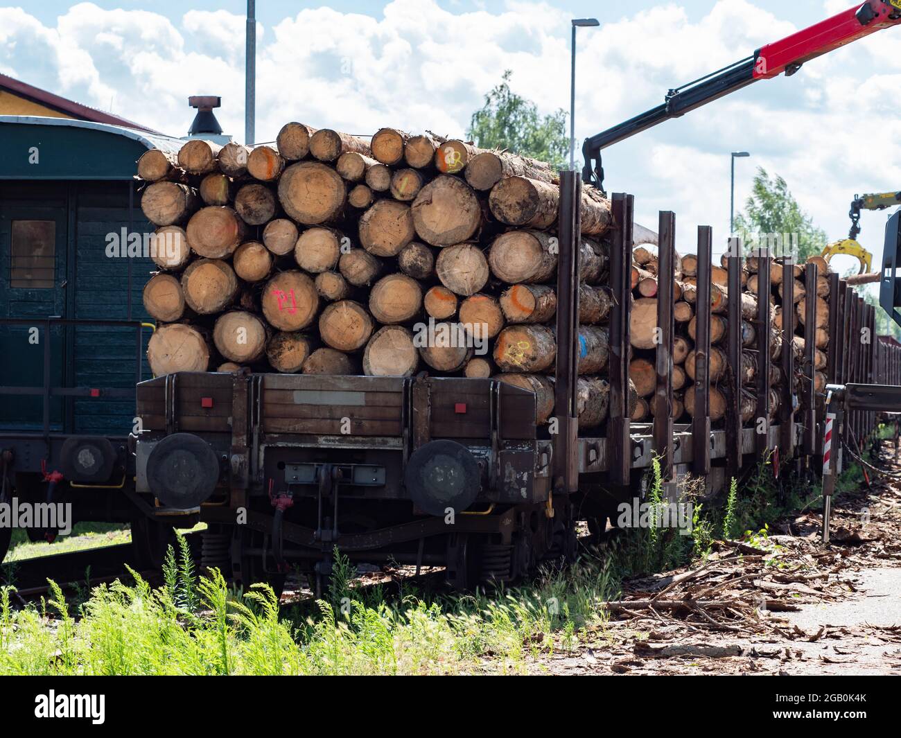 Chargement de grumes sur un train de grumes Banque de photographies et ...