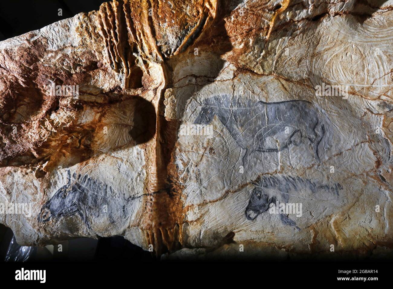 Le préhistorien et plasticien Alain Dalis est responsable de la ...