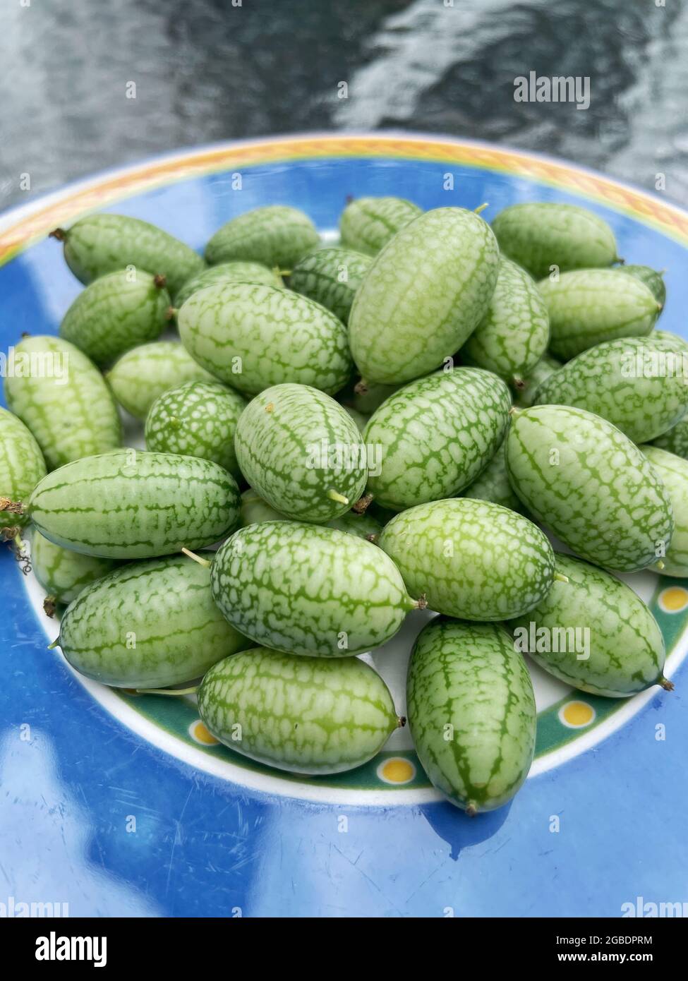Mexican sour gherkin Banque de photographies et d’images à haute ...